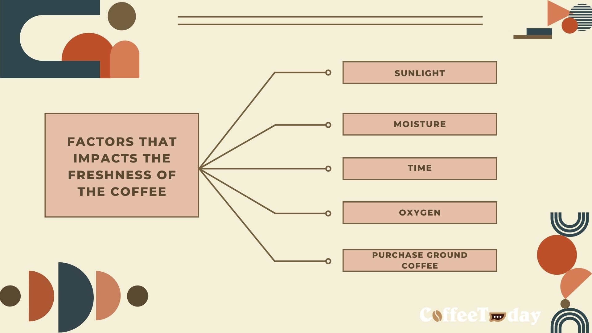 4 Ways To Store Coffee Beans At Home To Keep It Fresh
