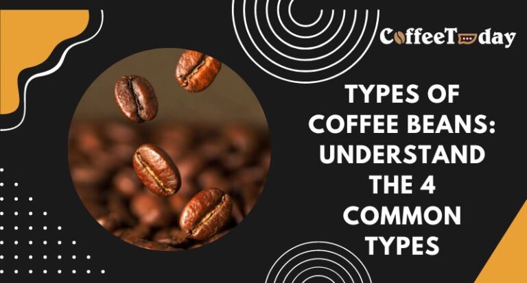 Types Of Coffee Beans: Understand The 4 Common Types